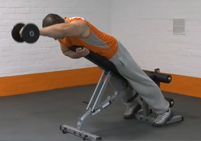 Incline Prone Single Arm Dumbbell Front Raise