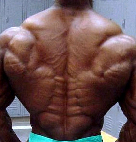 Trapezius/Inner Trapezius - ทราปิเซียส ด้านใน